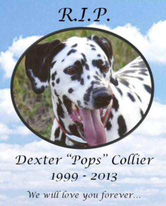 Dexter “Pops” Collier – Trusted Journey Pet Memorial Services | Pet ...