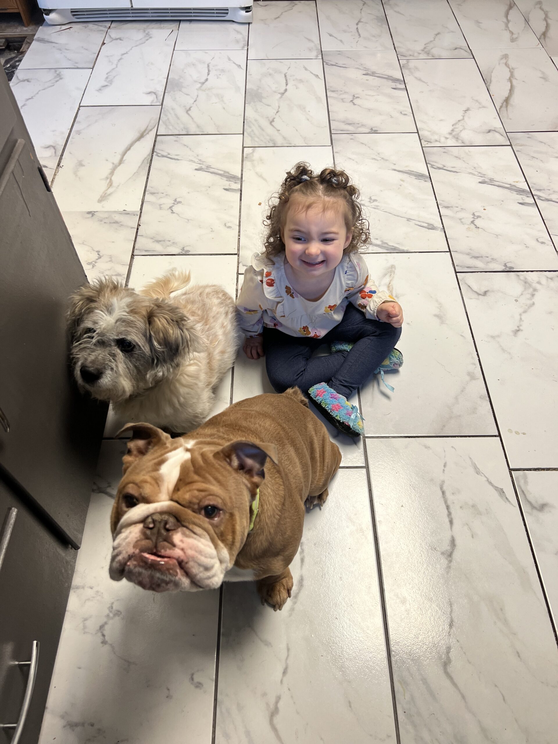 Oso Ashley - Trusted Journey Pet Memorial Services | Pet Cremation ...