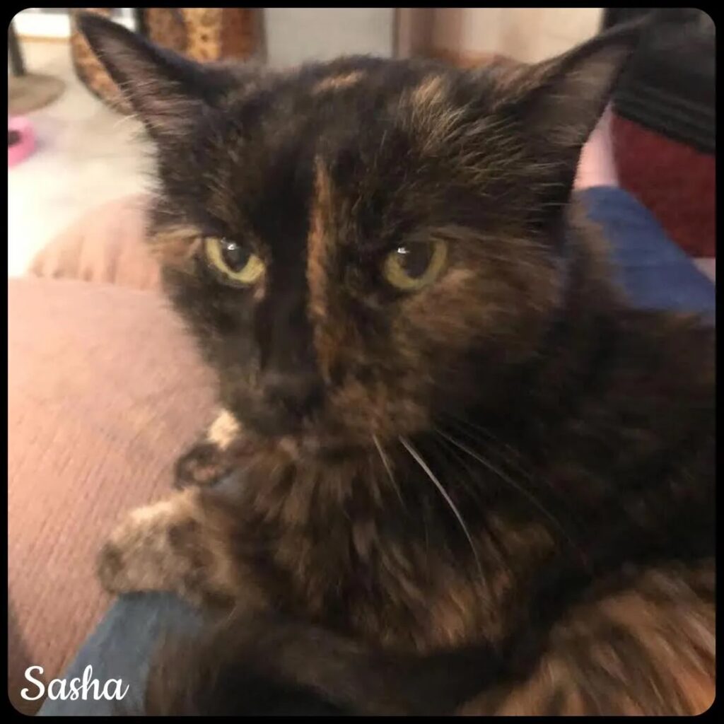 Online Memorials - Trusted Journey