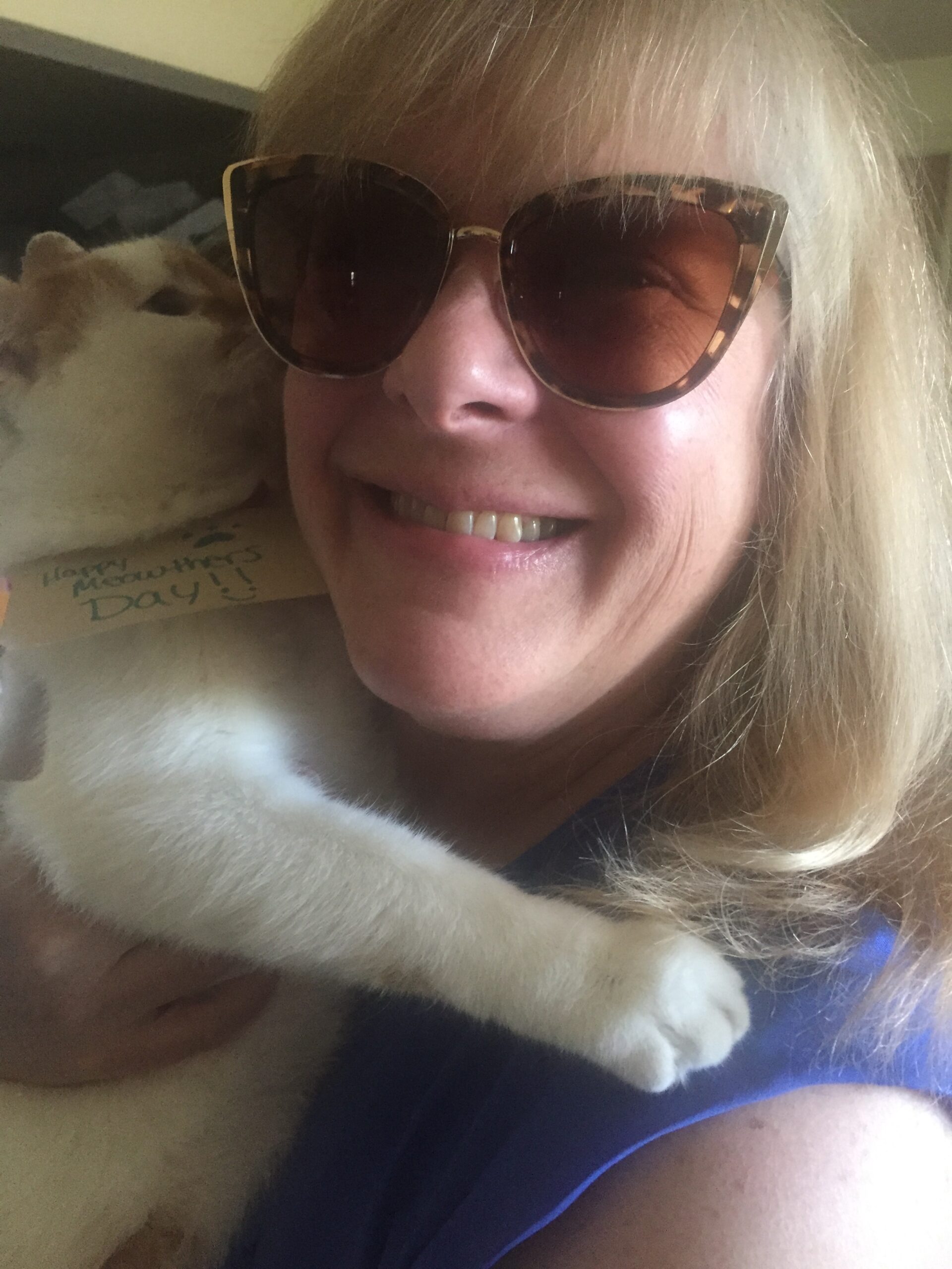 angelo simba - Trusted Journey Pet Memorial Services | Pet Cremation ...